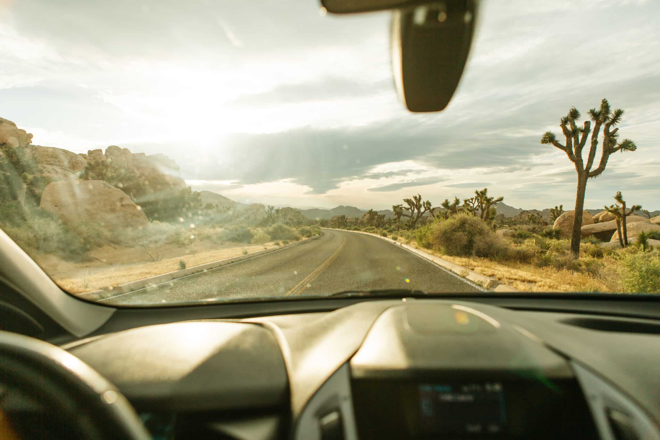 Joshua Tree National Park Guide | Escape Camper Vans