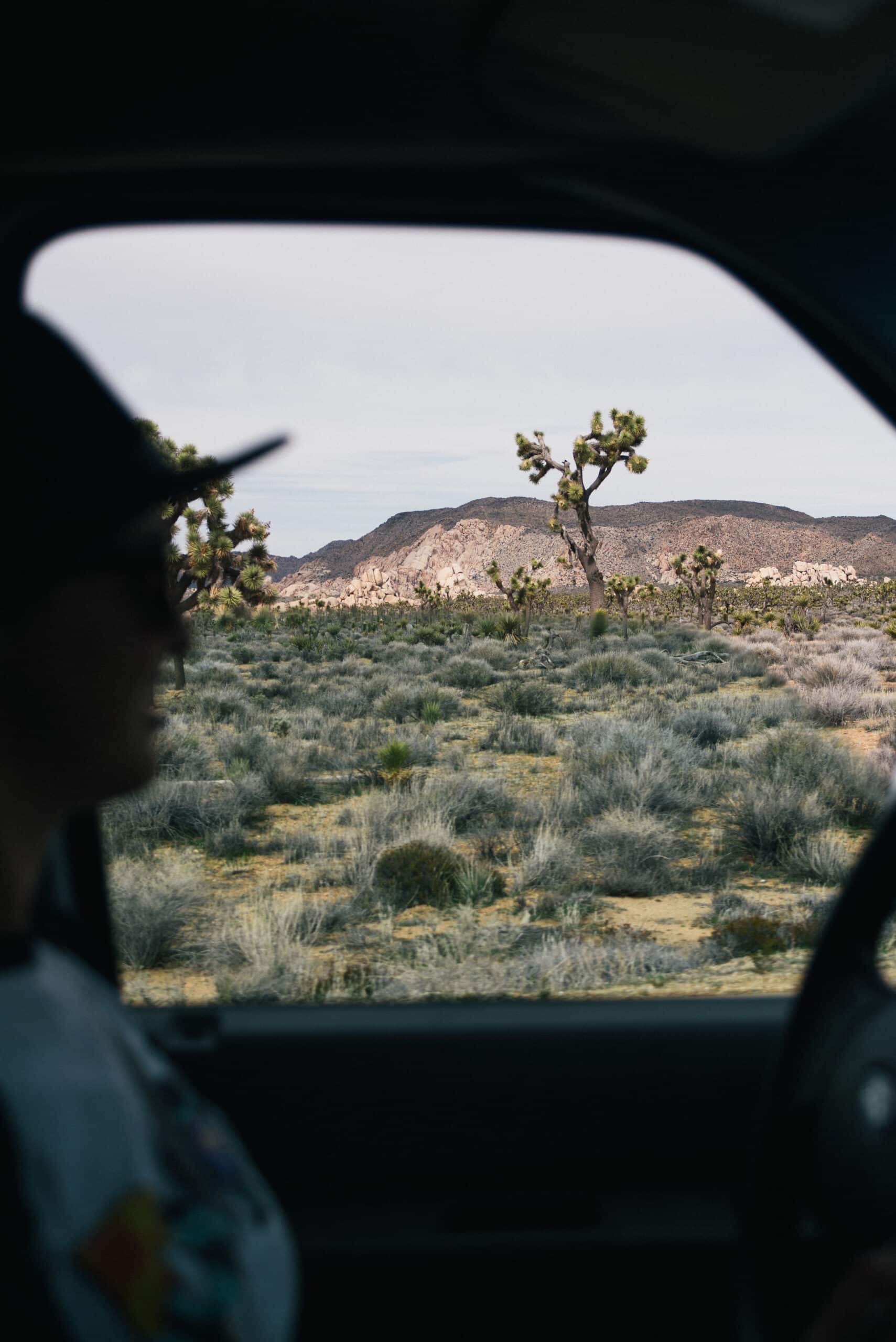 San Francisco to Joshua Tree: California Desert Road Trip