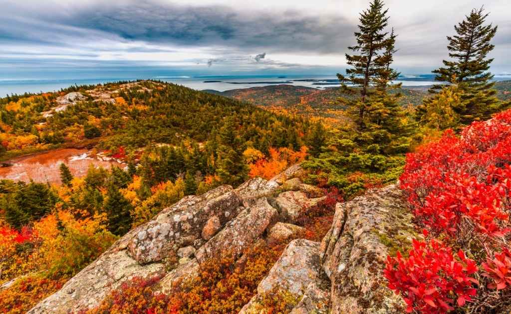 Best Time to Visit Acadia National Park: Your Complete 2025 Guide
